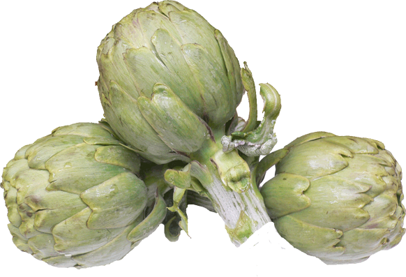 alcachofa1.png